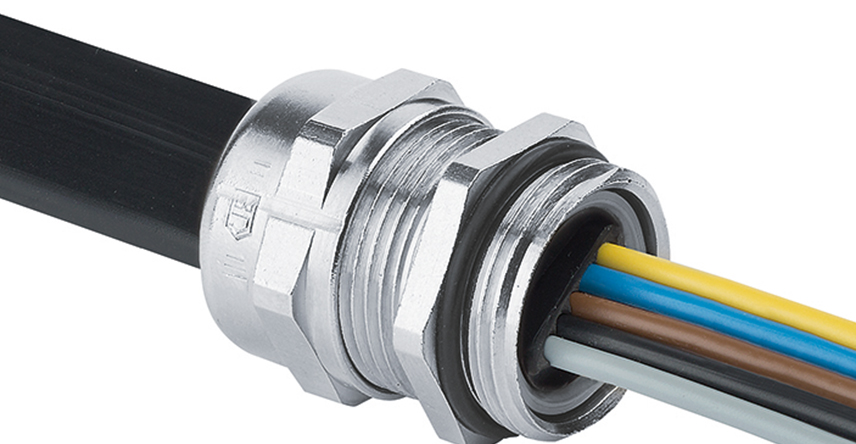 Welke wartel heb je nodig?